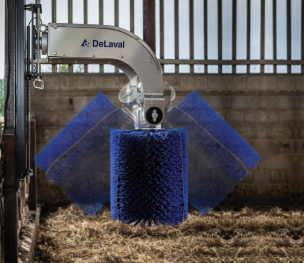 DeLaval lanserar en frihängande ryktborste för köttdjur - Lantbruksnytt